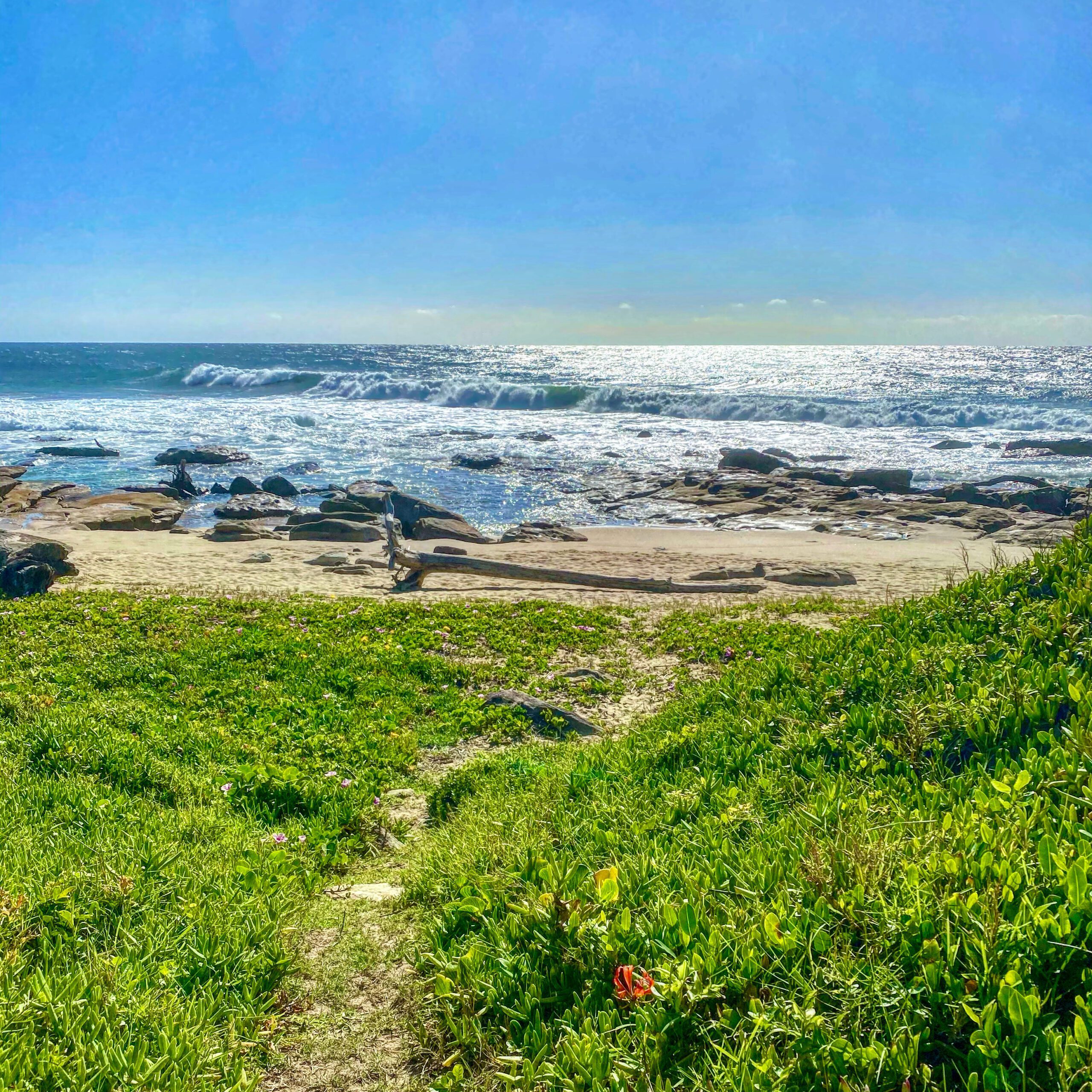 Beautiful South Coast Beaches Perfect for Great Family Holidays.